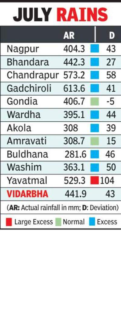 Vidarbha got 43% excess rains in July | Nagpur News - Times of India