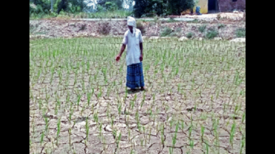 State receives 48% deficit rainfall so far | Patna News - Times of India
