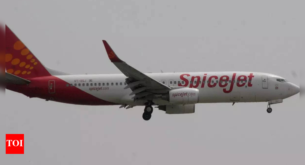 Flyer to Srinagar lands in Pune, SpiceJet sorry | Delhi News - Times of ...
