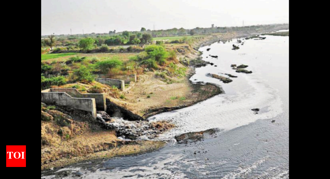 Sabarmati Pollution: Sabarmati Pollution: Ngt Orders A Joint Panel Report | Ahmedabad News ...