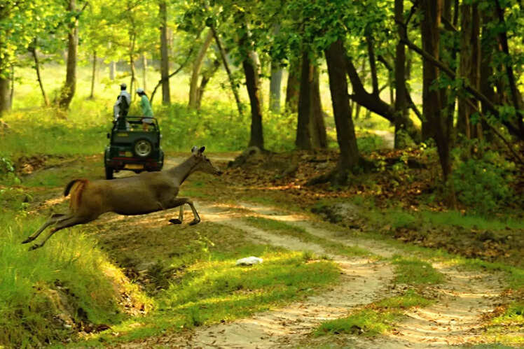 Madhya Pradesh’s best-kept secrets | Times of India Travel