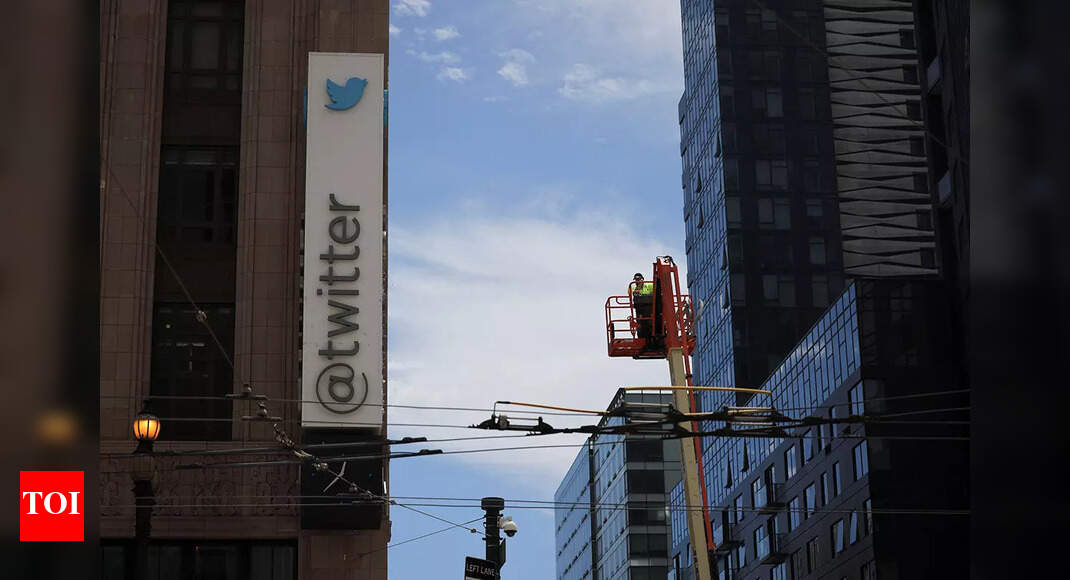 Twitter and X: How WWF used the logos to highlight wildlife ...