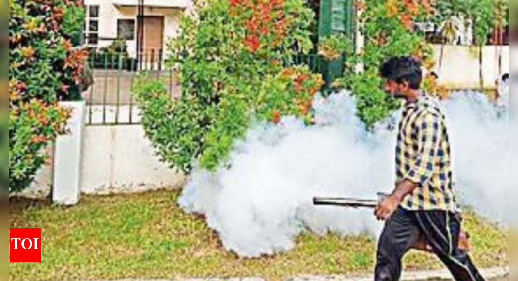 JE vax failed to avert death, NHM silent | Guwahati News - Times of India