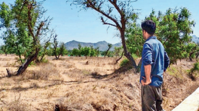 Vellore: How techie planted more than 8,000 tree saplings to create a ...