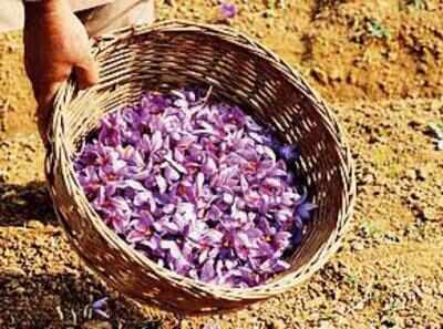 Tatas’ Himalayan makes saffron foray - Times of India
