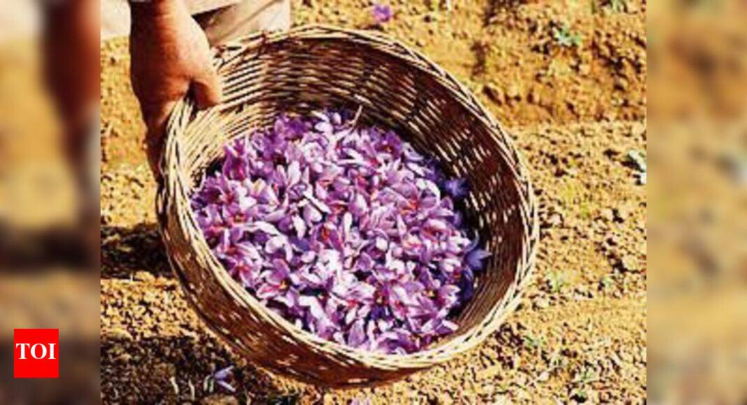 Tatas’ Himalayan makes saffron foray - Times of India