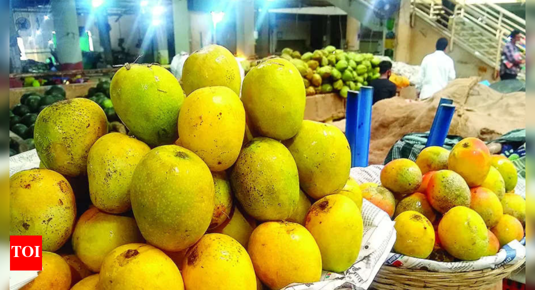 Mango: Bebinca, mancurad mangoes get GI tag | Goa News - Times of India