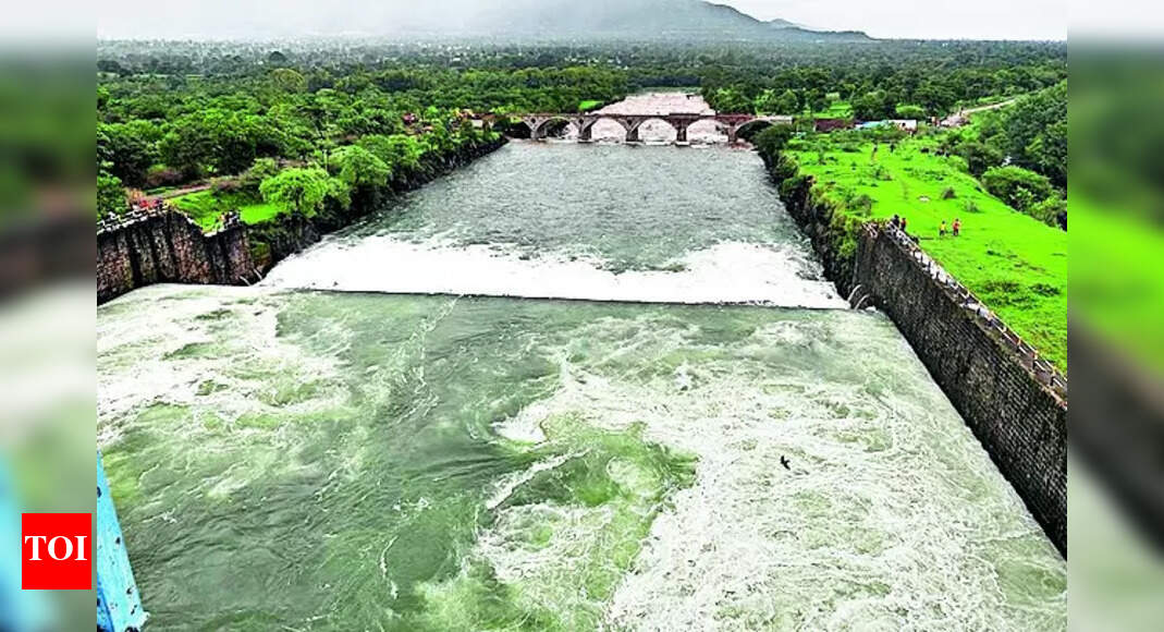 River Flooding: Dam Stock Should Be 75% After 1st Spell Of Rain To Curb ...