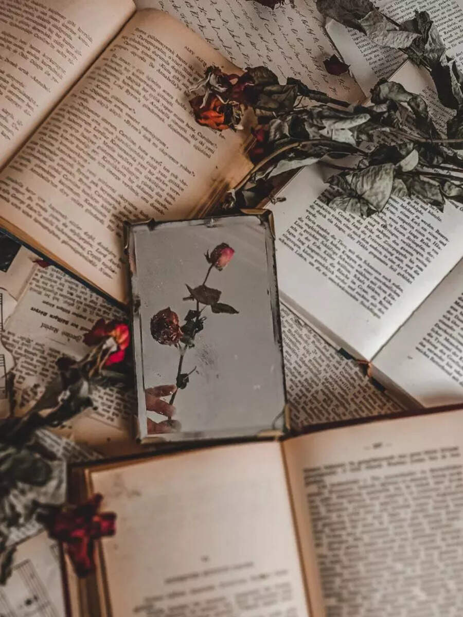 Most unforgettable last lines in fiction | Times of India