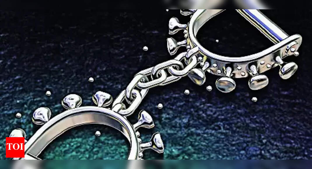 Jobs: Gang Busted, Woman Among Three Nabbed | Varanasi News - Times of ...