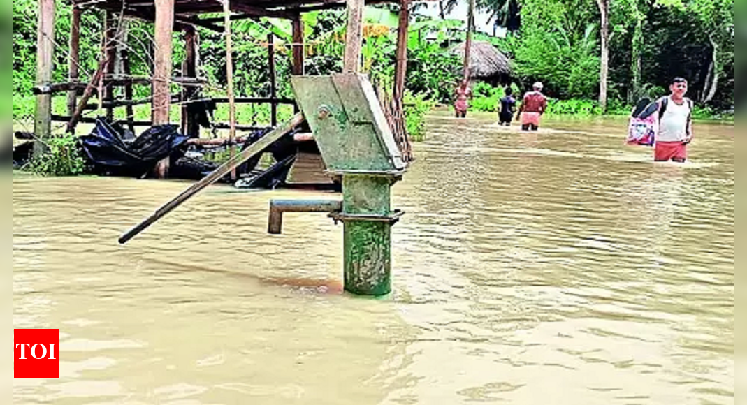Virus: Mahanadi And Baitarani In Spate, Flood Hits 1.2l In State ...