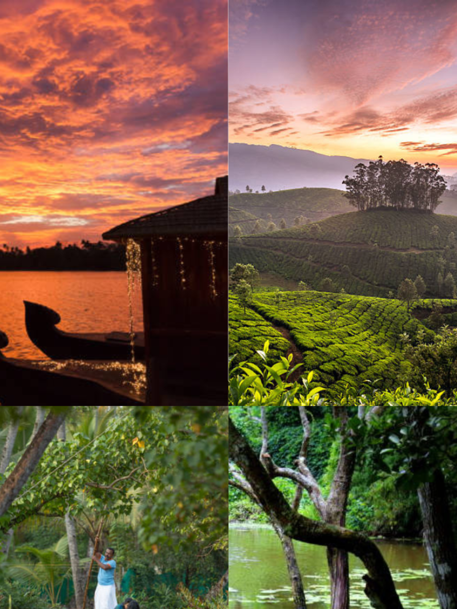 7 Instagrammable Spots In Kerala You Can't Miss! | Times Now