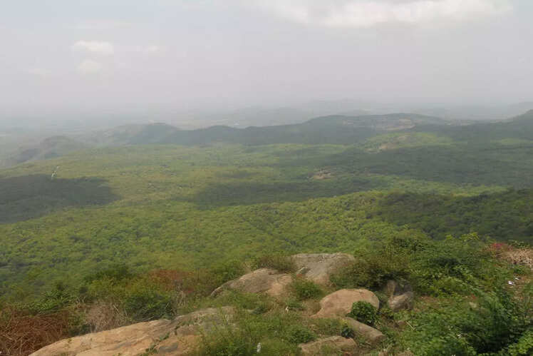 Independence Day Weekend Trip: Pretty places near Bengaluru for ...