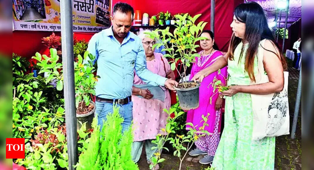 Soft Robotics: One-day Tour To Ramayan Circuit Places In Nashik ...