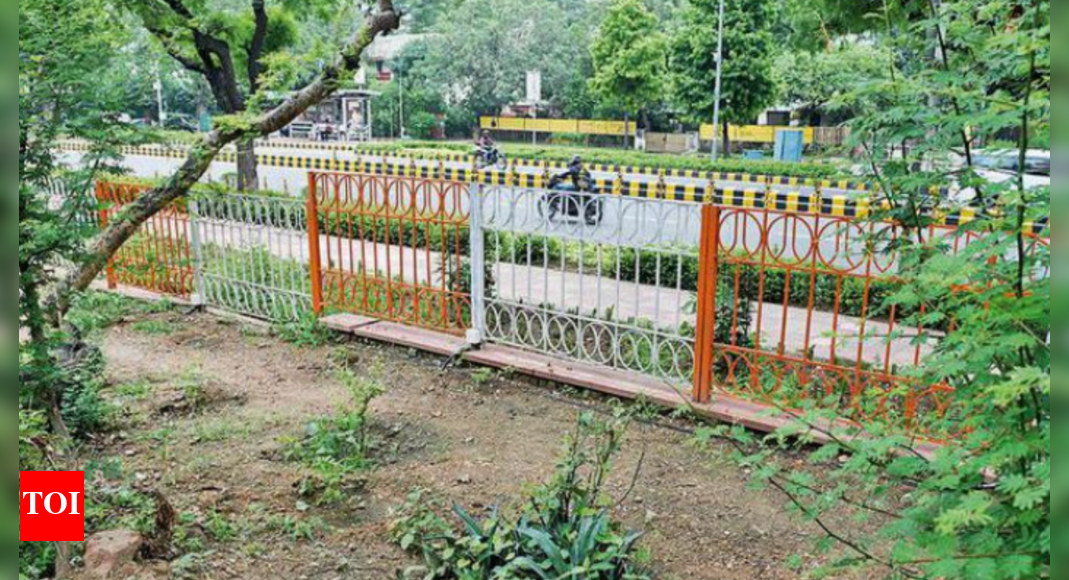 Chinar saplings planted on Central Ridge for G20 summit wither away ...