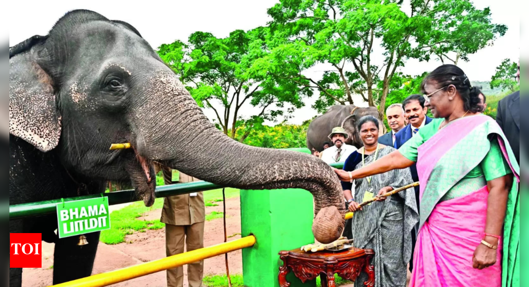 President felicitates 39 mahouts | Chennai News - Times of India