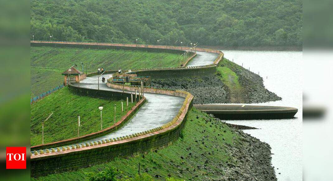 Selaulim dam to be beautified to attract tourists: Shirodkar | Goa News ...