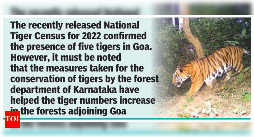 ‘Link tiger habitats of Goa and neighbouring reserves’ | Goa News ...