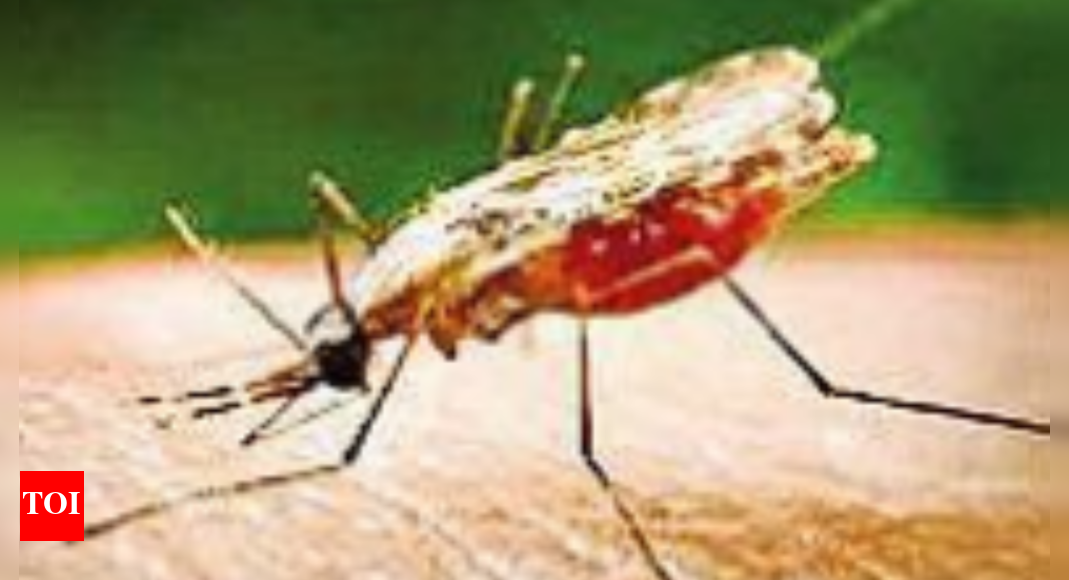 Second phase of trial of new kala-azar drug in progress at RMRIMS ...