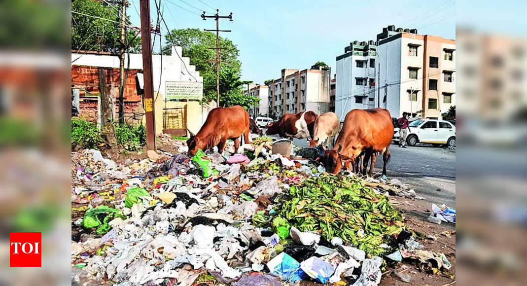 Waste Disposal, Recycling Process, Waste Management: Door-to-door ...