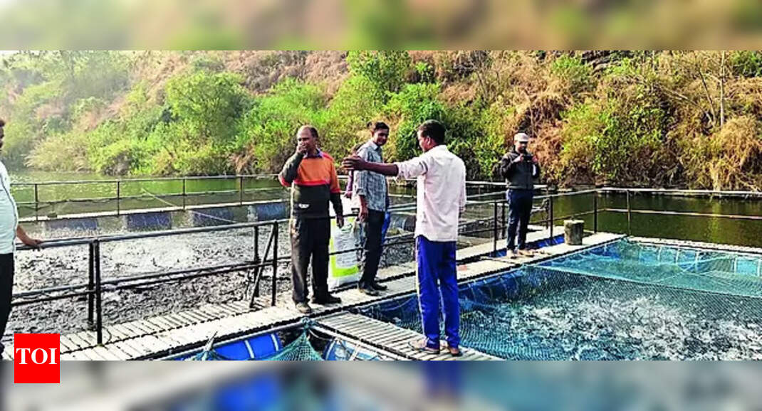 Over ₹3cr Allotted For Fish Farming In Four Abandoned Ccl Mine Pits ... Over ₹3cr Allotted For Fish Farming In Four Abandoned Ccl Mine Pits ...