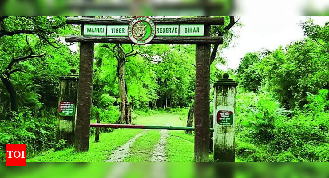 Tiger: Task Force To Suggest Steps To Raise Rhino Number In Vtr | Patna ...