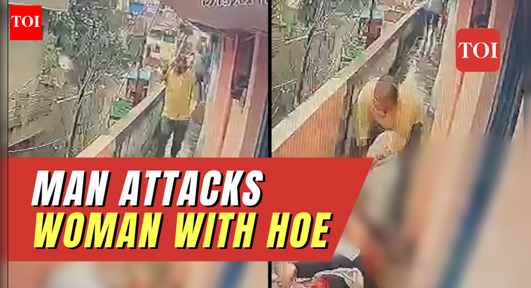 CCTV: Man attacks woman with hoe during fight with neighbour over cat ...