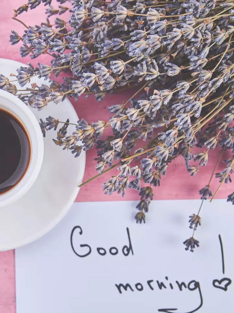 Happy Tuesday: Good Morning Wishes With 8 Striking Images for WhatsApp ...