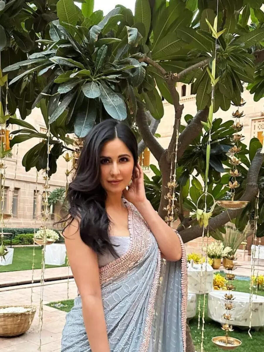 Katrina Kaif and her six yards of grace in dreamy sarees | TOIPhotogallery