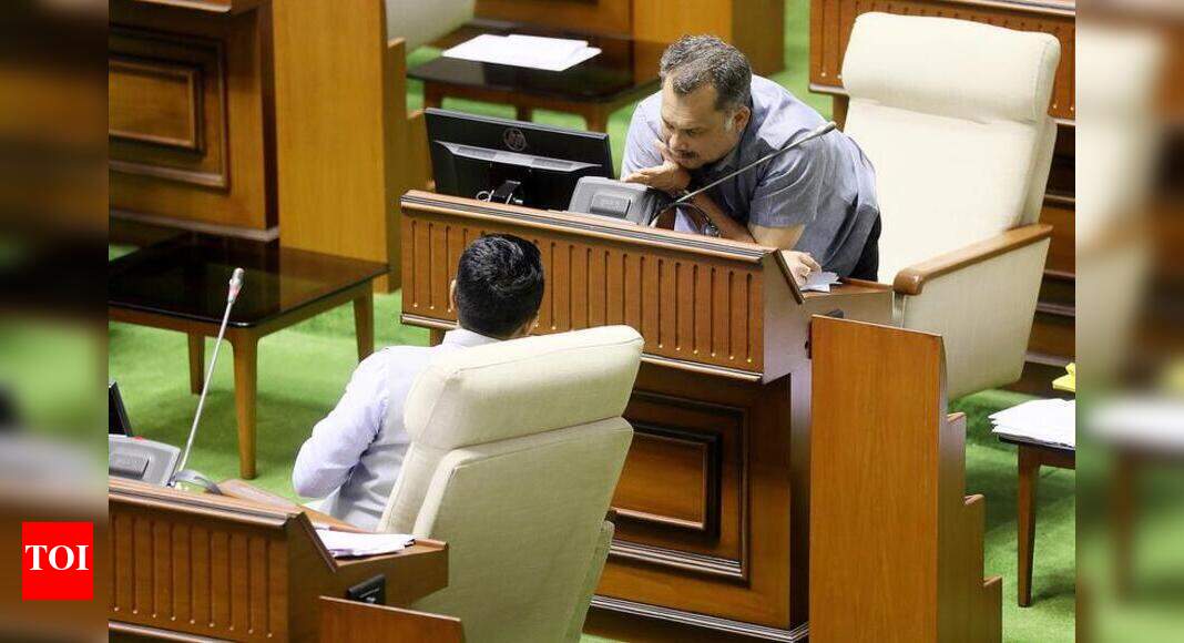 Highway to be constructed on stilts at Bhoma: Cabral | Goa News - Times ...
