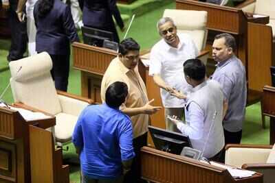 Tiger reserve may complicate Tamnar project: Power mantri | Goa News ...