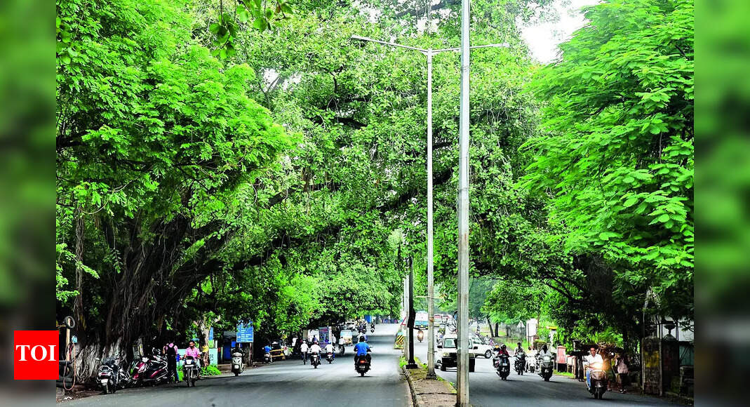 ‘most Road Infra Projects In City A Big Racket Of Construction Firms ...