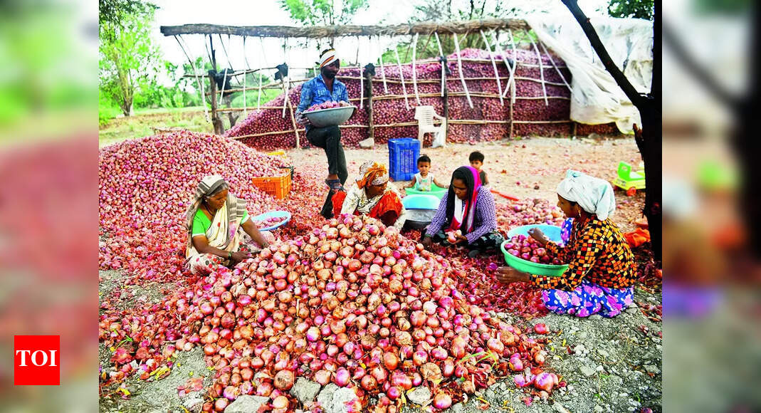 Onion: 2 Central Agencies Procure 3l Metric Tonne Onions | Nashik News - Times of India