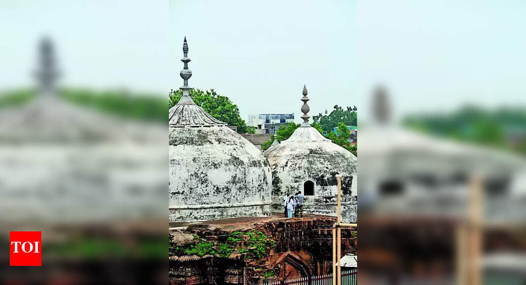 Scientific Study: Sixth Day Of Survey: Asi Makes Drawings Of Dome ...