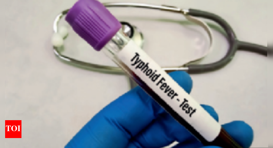 Typhoid cases on the rise; precaution advised | Chennai News - Times of ...