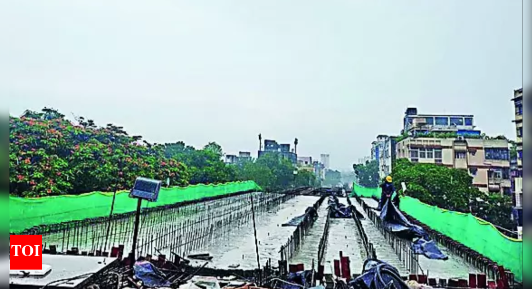 Metro: Majerhat Metro Viaduct Casting Work Complete | Kolkata News ...