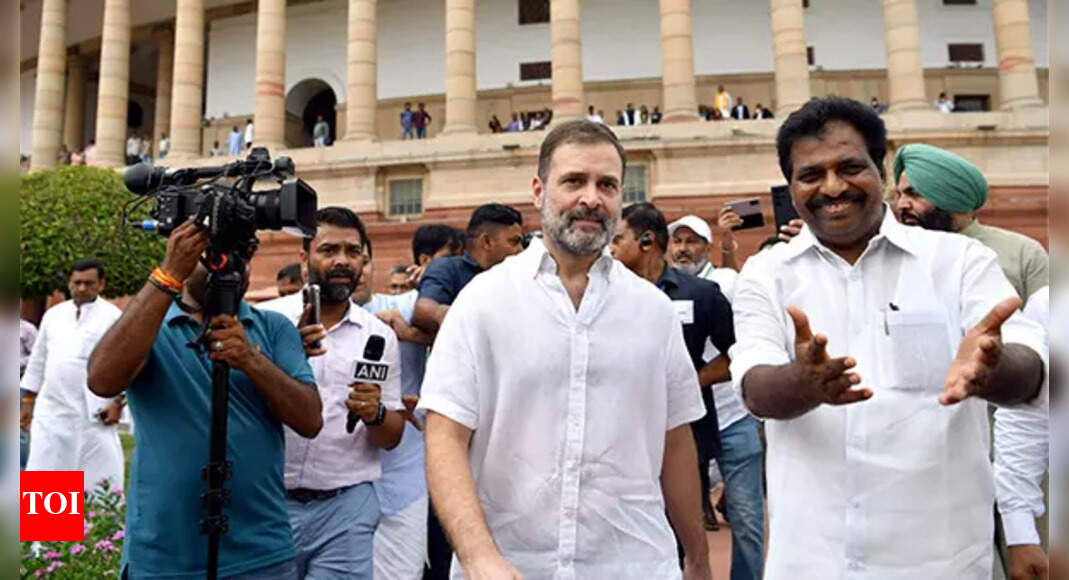 Why Rahul's Muslim-first secularism could hurt Congress in 2024 | India ...