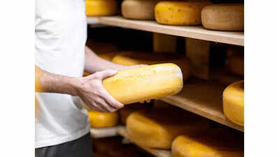 Shocking! Italian man crushed under cheese wheels - Times of India