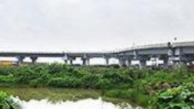Balaji temple site in Navi Mumbai a wetland, attests Maha mangrove cell ...
