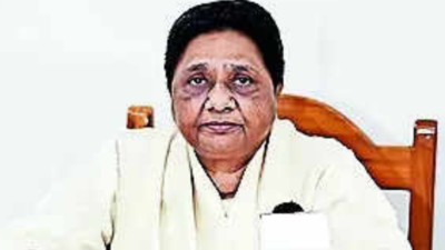 BSP demands caste-based census at the national level | Lucknow News ...