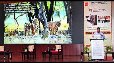 Tiger Awareness: Week-long Tiger Awareness Event At Wii Spotlights Big ...