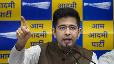 BJP trying to suppress my voice: AAP MP Raghav Chadha on breach of privilege complaints against ...