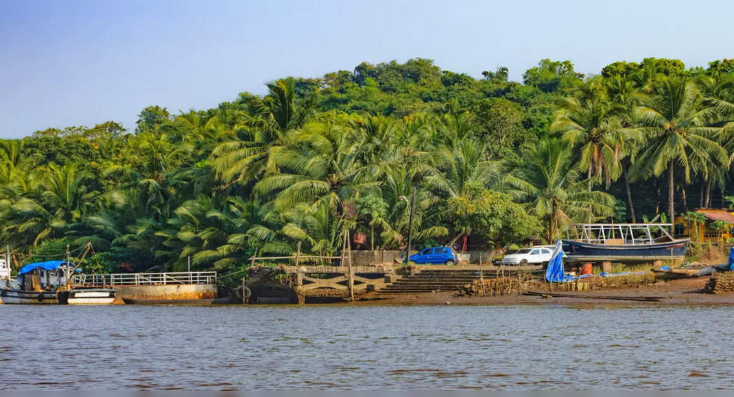 Goa’s Salim Ali Bird Sanctuary is more than a wildlife experience, Goa ...