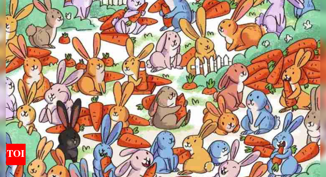Optical illusion: Can you find the hidden hazard cone among rabbits ...
