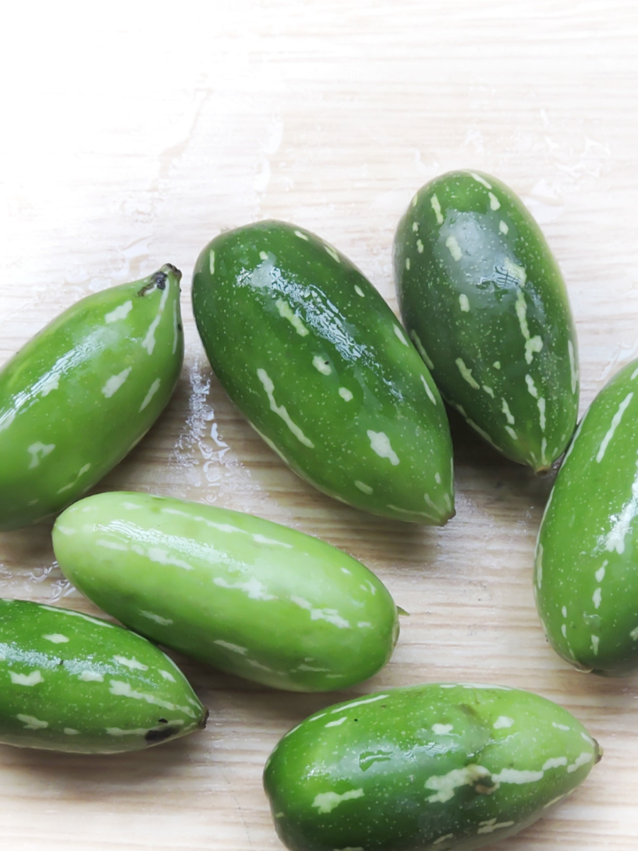 Kundru Benefits: Reasons to eat ivy gourd | Times of India