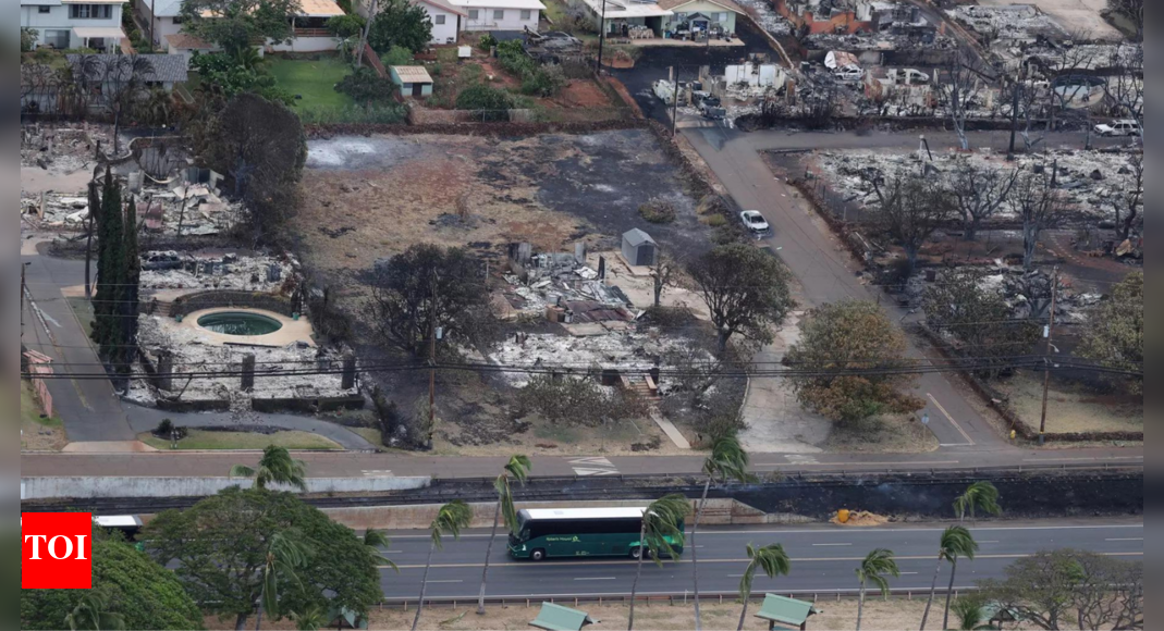 Hawaii Wildfire: Hawaii wildfire deaths surge to 53 and likely to go ...