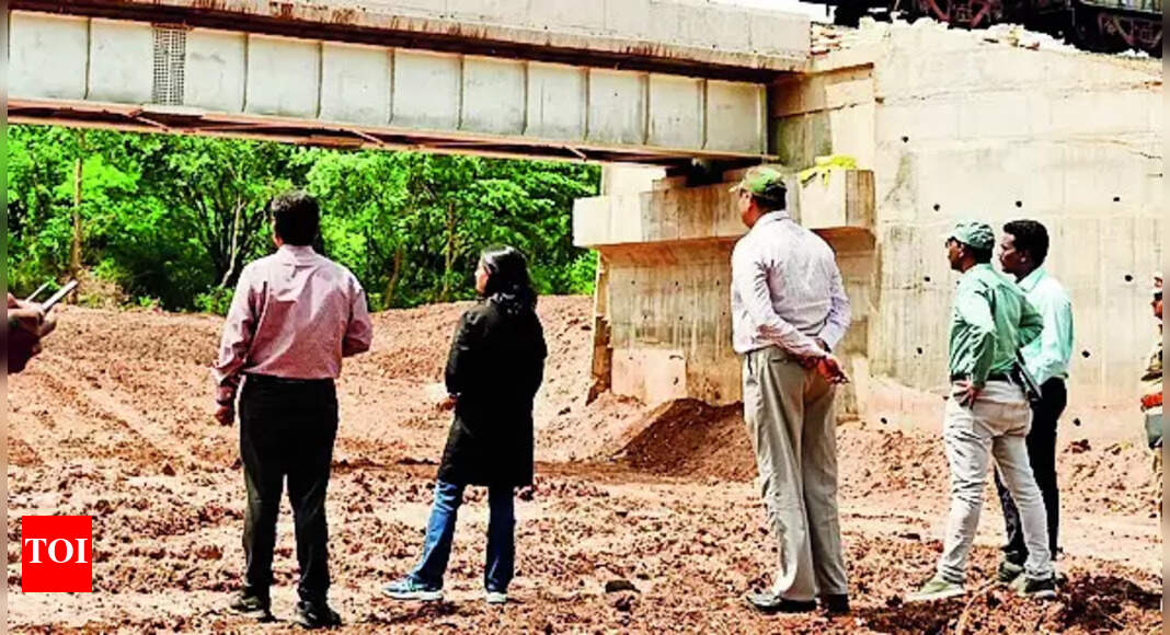 Train Hits: Rlys Completes Elephant Underpass | Coimbatore News - Times ...