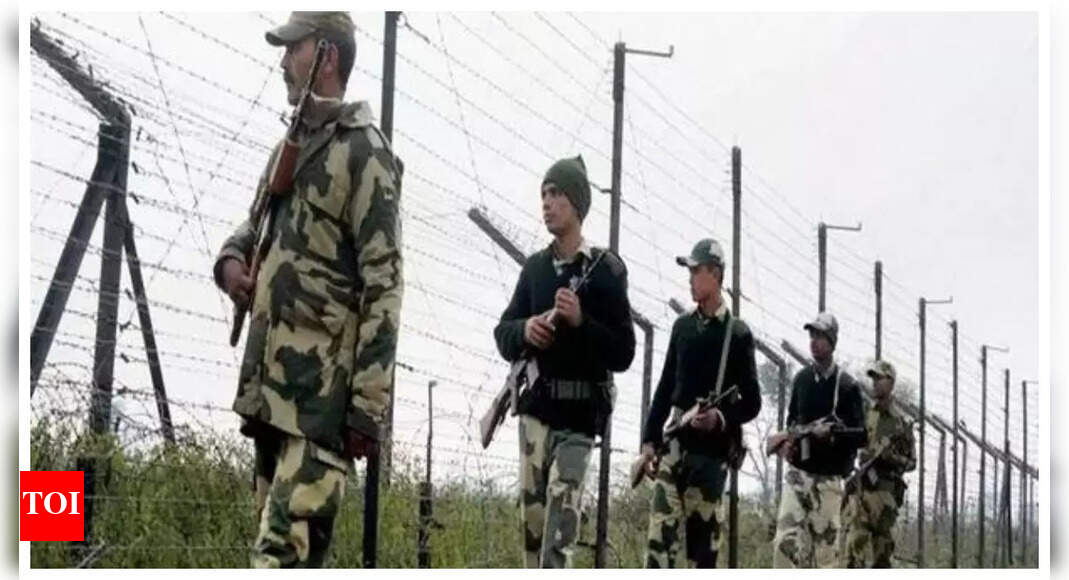 India Pakistan Border News: Pakistan intruder shot dead near ...