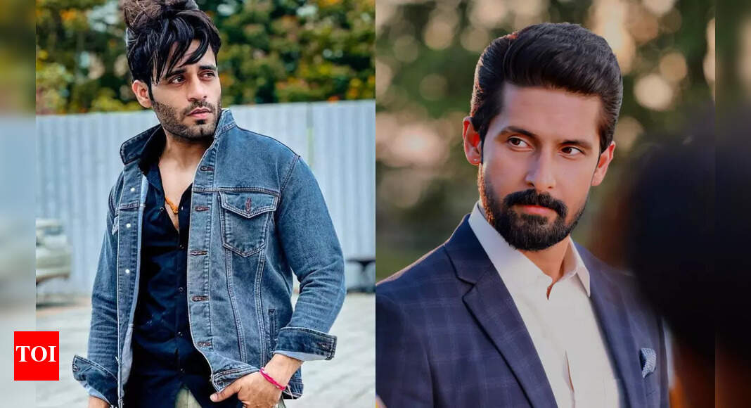 Choti Sardarni fame Ravi Chhabra on sharing screen space with Ravi ...