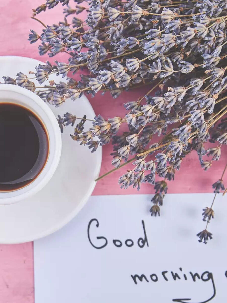 Saturday Good Morning Wishes: 8 Images With Warm, Positive Messages for ...